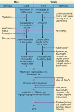 H C Y Ch Ng Sinh L Sinh D C V Sinh S N