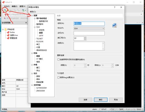 在windows电脑上连接linux服务器并显示图形界面 windows怎么连接linux图形界面 csdn博客