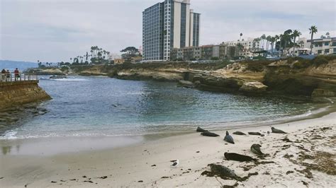Luggage Storage La Jolla Cove In San Diego Radical Storage