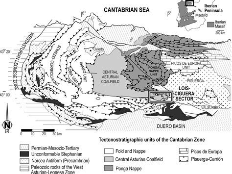 Remarks On The Cortical Structure Of Late Paleozoic “phylloid Algae”