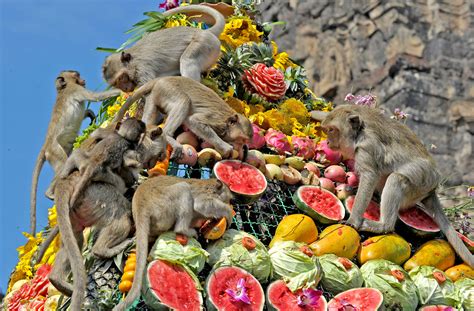9 Splendid Festivals Celebrated In Thailand Blog