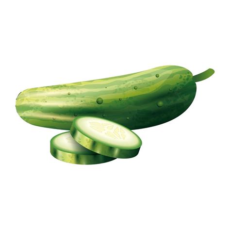 Cucumber Vector Art Icons And Graphics For Free Download