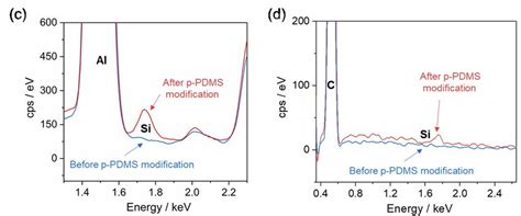 Figure S1 A B Cross Sectional SEM Images Of SNM A And PDMS Download Scientific Diagram