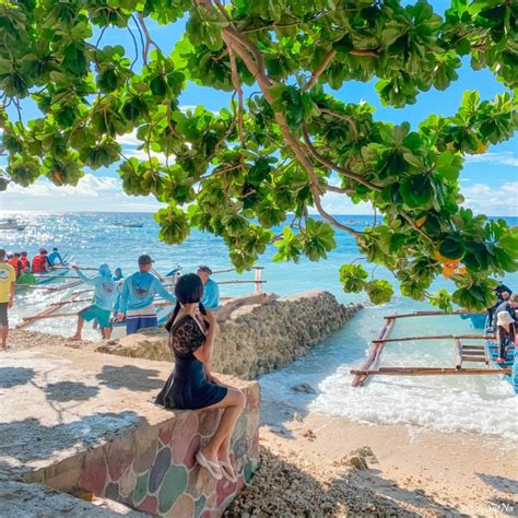 세부 고래상어 투어 투말록폭포 오슬롭 패키지 예약 네이버 블로그