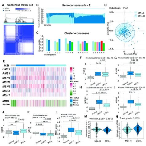 Two Group Pattern Of Microsatellite Instability Msi Status By