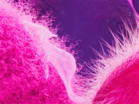 Director Bea Höller Explores Female Sexuality In Klimax Short Film