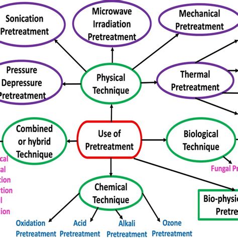 Schematic Representation Of Pretreatment Techniques Download Scientific Diagram