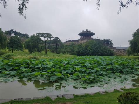 김구 선생 서예작품 춘풍대아능용물 추수문장불염진 네이버 블로그