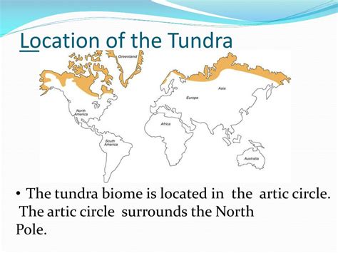 Where Is The Tundra Biome Located Etpy