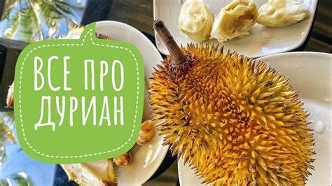 САМЫЙ ВОНЮЧИЙ ФРУКТ ДУРИАН ужин в ланкийском стиле черепахи Youtube