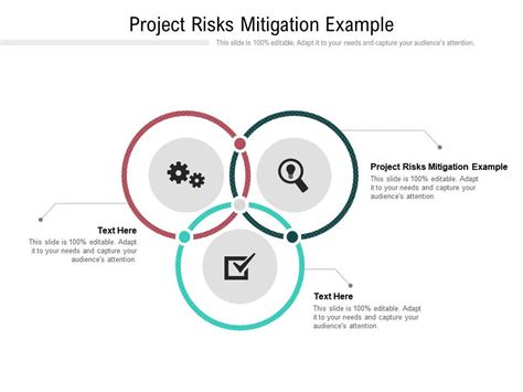 Project Risks Mitigation Example Ppt Powerpoint Presentation Professional Slideshow Cpb
