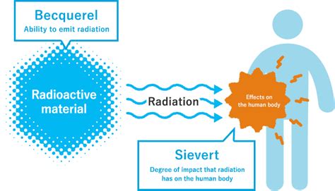 Sieverts Of Radiation