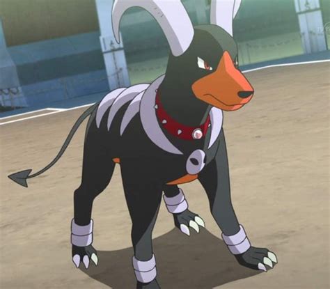 Houndoom Wiki Pokémon Amino