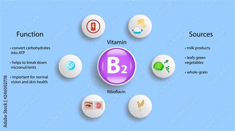 Vitamin B2 Vector Design Vitamin B2 Function And Sources Riboflavin