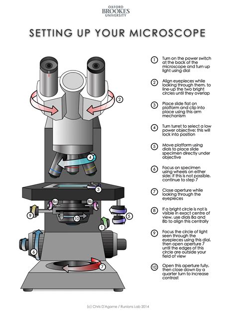 Light Microscope Setup Teaching Resource By Netzephyr On Deviantart
