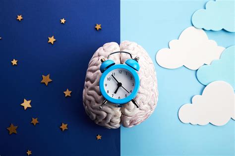 How Do Circadian Rhythms Work New Research Sheds Light