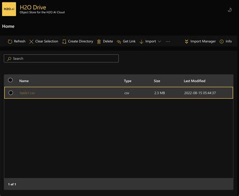 Import Oracle Data H2o Drive