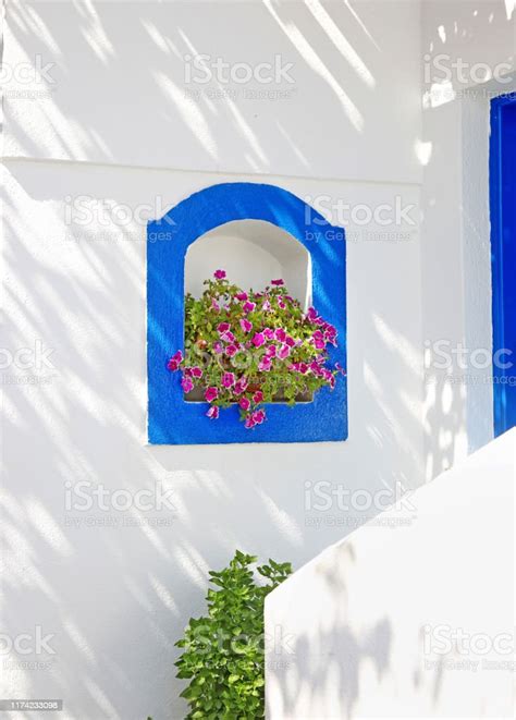 파란색 세부 쿠포니시아 키클라데스 그리스와 흰색 벽에 꽃 0명에 대한 스톡 사진 및 기타 이미지 0명 건물 외관 건물 정면 Istock