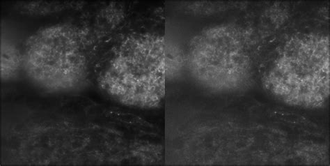 Cannot Convert Float Nan To Integer · Issue 268 · Royerlabaydin · Github