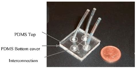 Fabricated And Packaged Polymer Based Microfluidic Chip Fabricated And