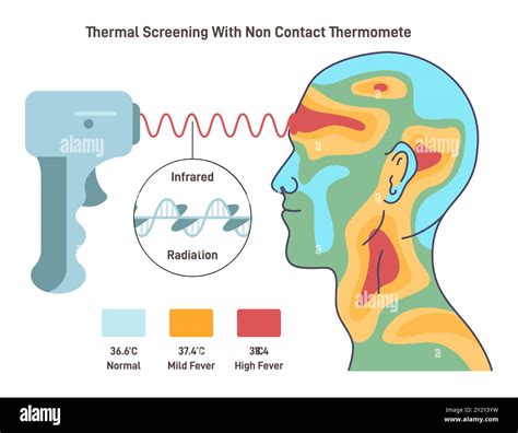 Body Temperature Check With Infrared Non Contact Thermometer Human Heat Map Human Head