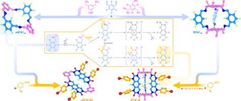Schematic Representation Of The Synthesis Of The Supramolecular Amine Download Scientific