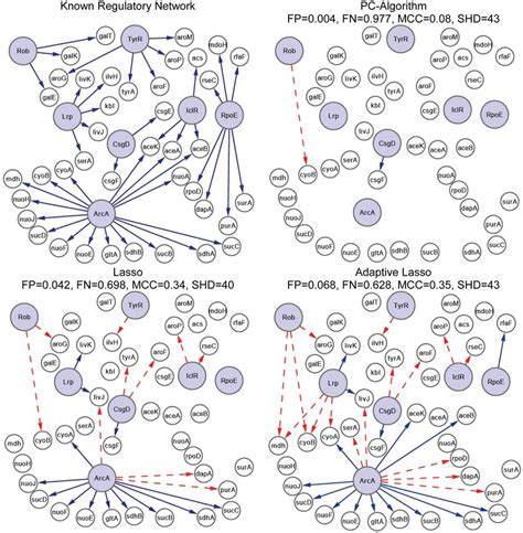 Known And Estimated Transcription Regulatory Network Of E Coli Large