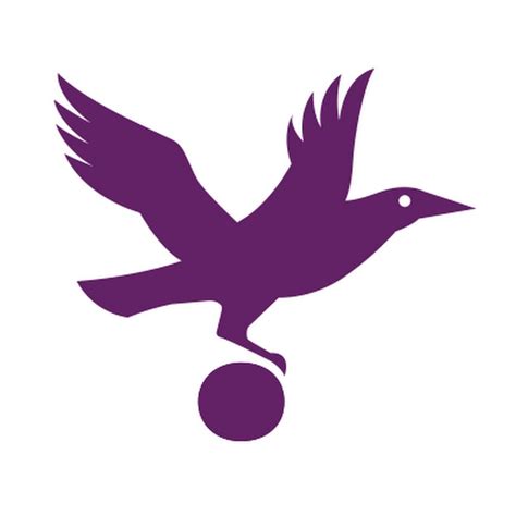 Shiny Things Youtube