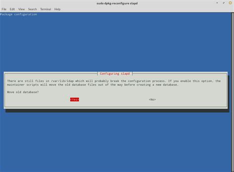 Install Openldap Server On Ubuntu 2004 Focal Fossa