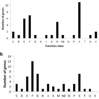 Histogram Of Clusters Of Orthologous Group COG Classification Of The Download Scientific