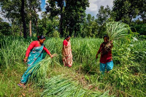 New Publication And Online Session Toward Gender Responsive Ecosystem Based Adaptation Why It