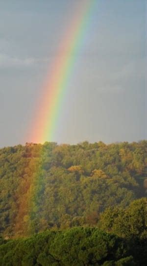 250 Royalty Free Rainbow Images Peakpx
