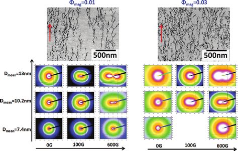 Influence Of The Magnetic Field On The Nanoparticle Dispersion In Two Download Scientific