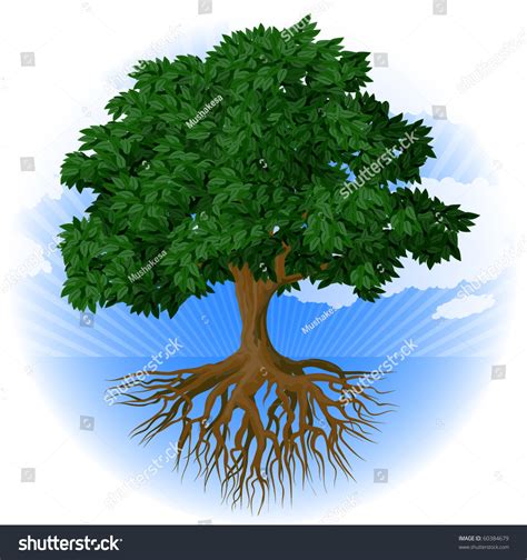 Tree With Roots Vector Shutterstock