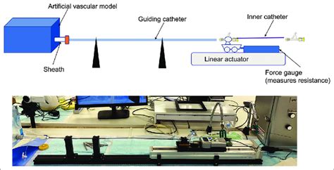 Experimental Model A Linear Actuator Was Used To Create An Experimental Download Scientific