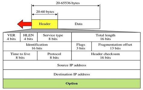 Solved How Many Bytes Of Data Are Being Carried By Chegg Com