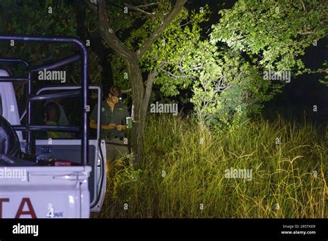 Wildlife Monitoring System Hi Res Stock Photography And Images Alamy