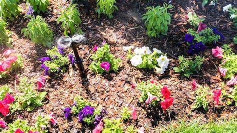 Premium Photo Lawn Irrigation