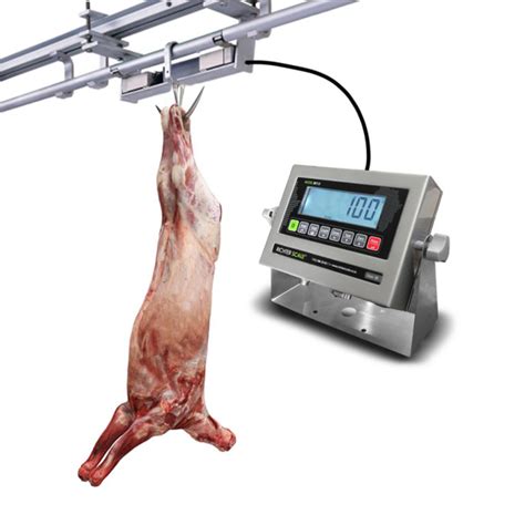 Weighing Scale Jarvis Products Kenya