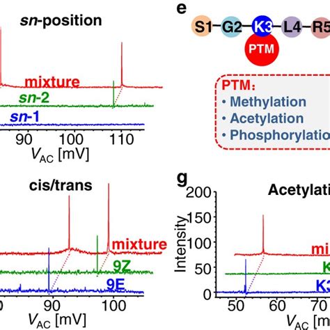 Structural Analysis Of Lipids And Peptides A Structure Of Phospholipids