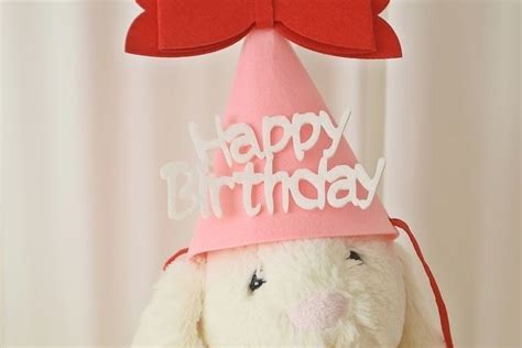파티·이벤트용품 생일파티용품 생일축하 모자 리본 고깔모자 파티햇 소품 홈파티 용품 장식 오늘의집 쇼핑