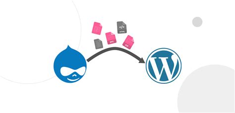 How To Migrate From Drupal To Wordpress In 2024 White Canvas