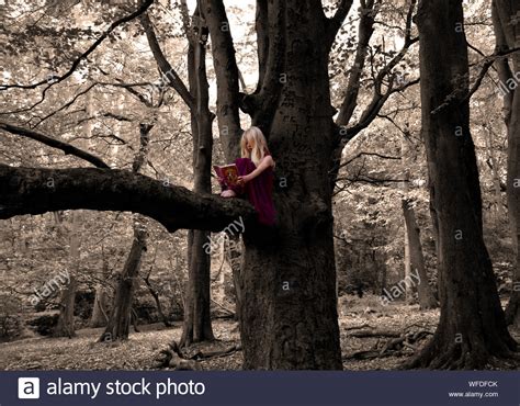 Reading In Tree Hi Res Stock Photography And Images Alamy