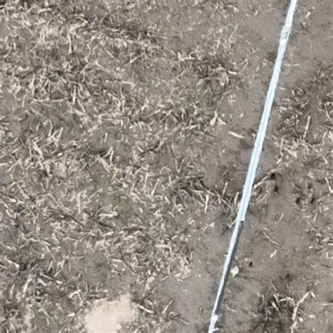 Pillarsfencedetection Object Detection Dataset By Pillars Detection