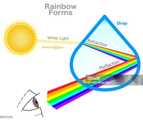 Rainbow Formed Diagram Reflection Refraction Dispersion Of Light Anatomy Colored Arc Made By