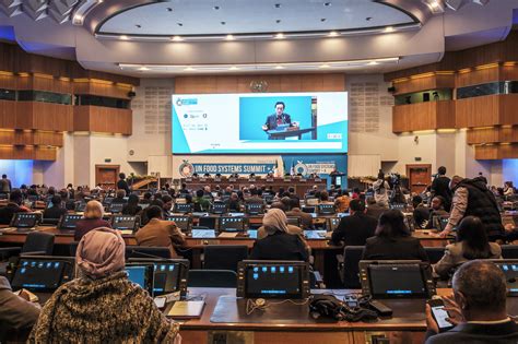 At The Unfss 4 Fao Director General Points To Unlocking Private Sector