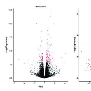 Volcano Plots Of Differentially Expressed Transcripts Between Weaned