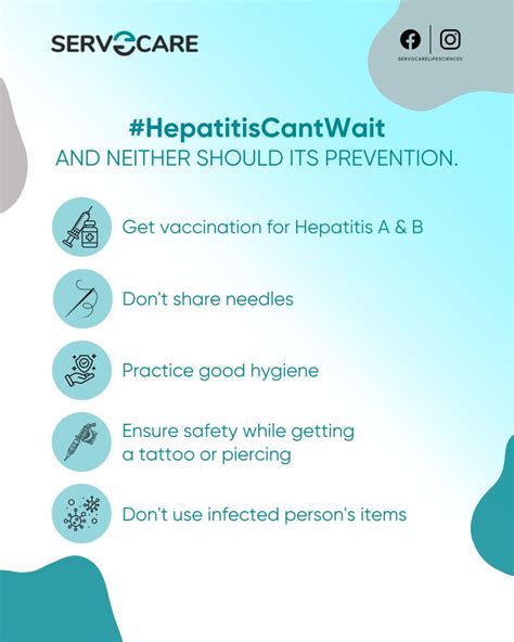 What Is Hepatitis B And How Do You Prevent It Servocare Lifesciences
