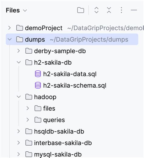 Files Tool Window DataGrip Documentation