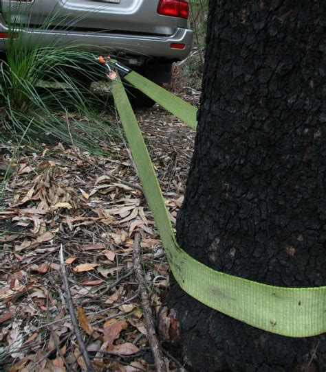 10T 5M Tree Trunk Protector The UTE Shop